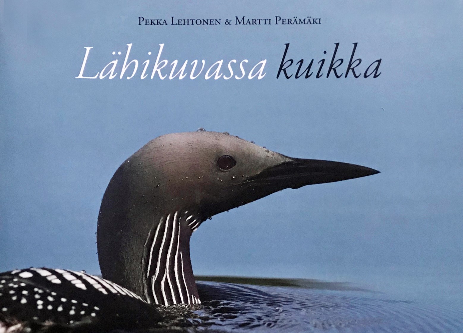 Kuikka teki kemististä kirjailijan – Kemiamedia