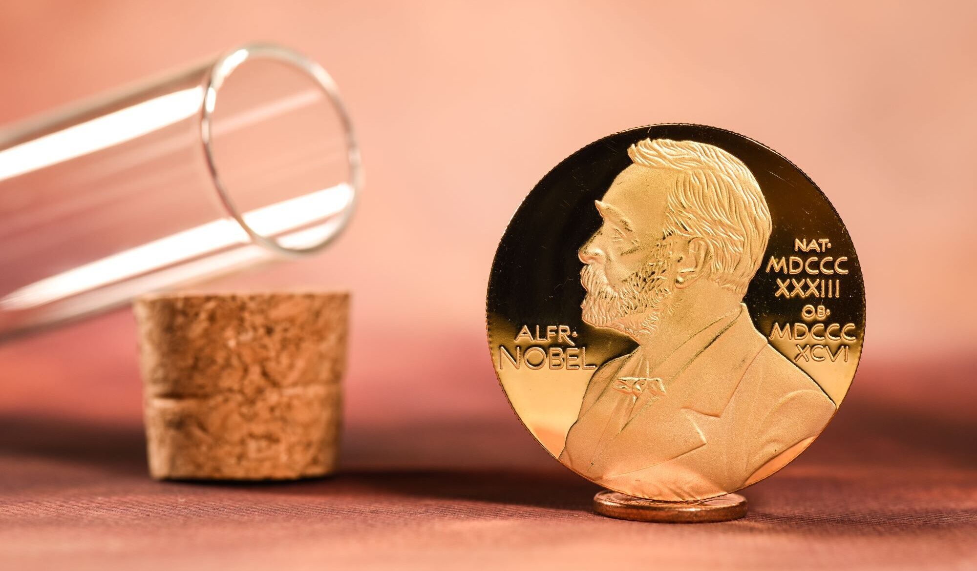 Vuoden 2024 kemian Nobel proteiinien koodinmurtajille – Kemiamedia